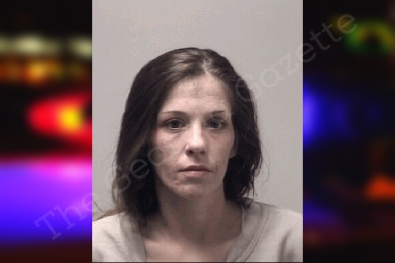 Heather Fannin — Coweta County Jail Bookings
