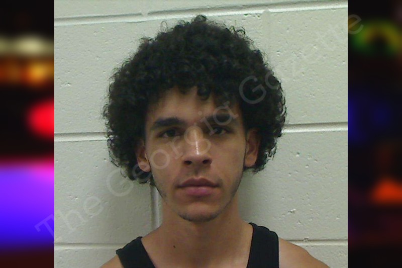 Christian Flores — Bulloch County Jail Bookings