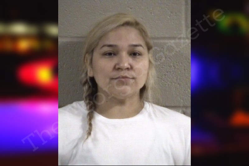 Fabiola Mendoza — Whitfield County Jail Bookings