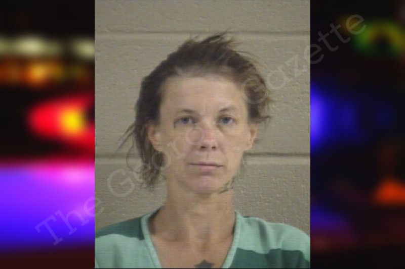 Francis Leming — Whitfield County Jail Bookings