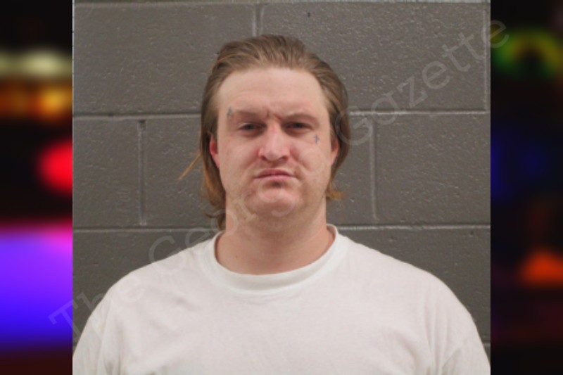 Micah Wales — Banks County Jail Bookings