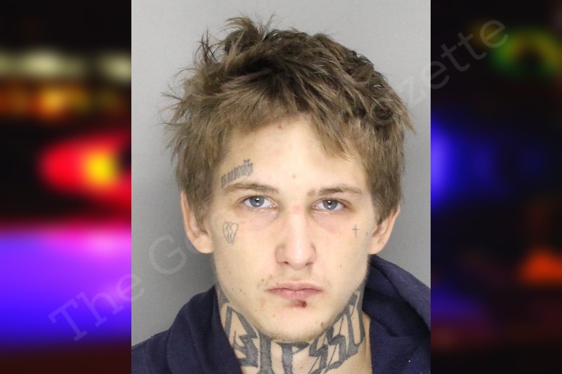 Hunter Goode — Cobb County Jail Bookings