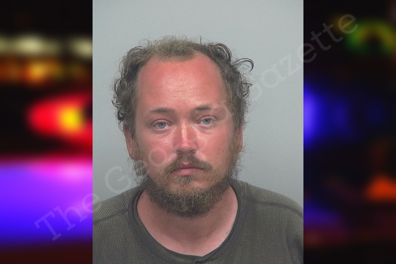 Sean Gregory — Gwinnett County Jail Bookings