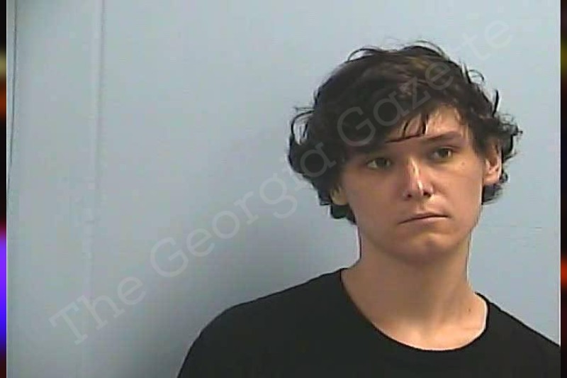 Connor Gravitt — Dawson County Jail Bookings