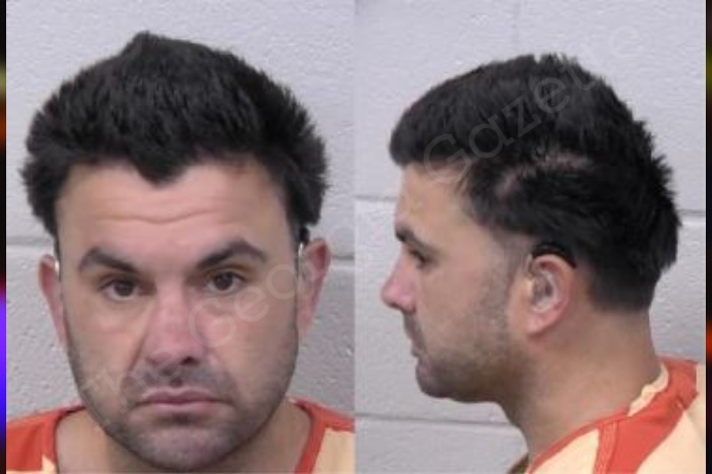 Harry Guy — Paulding County Jail Bookings