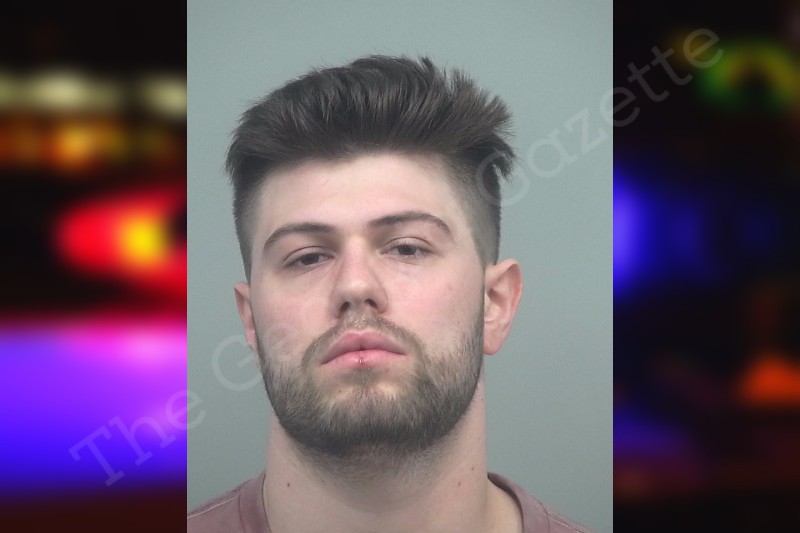 Tyler Hammer — Gwinnett County Jail Bookings