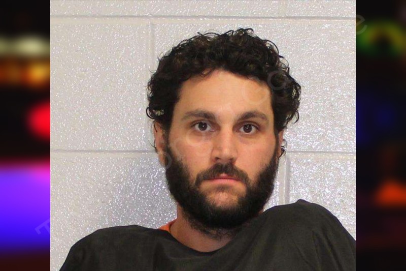 Timothy Handley — Carroll County Jail Bookings