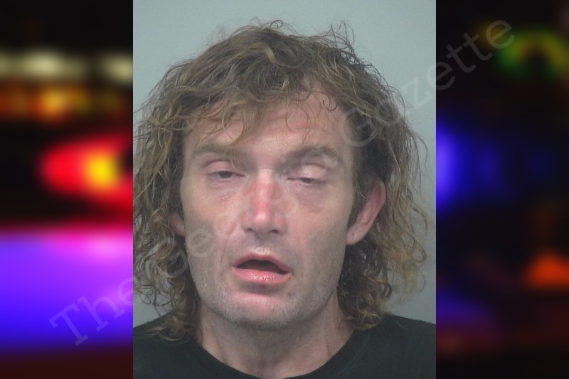 Dustin Helm — Gwinnett County Jail Bookings