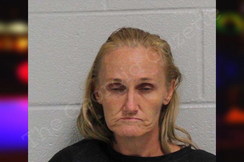 Michelle Henson — Carroll County Jail Bookings