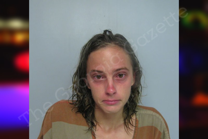 Faith Hintz — Hall County Jail Bookings