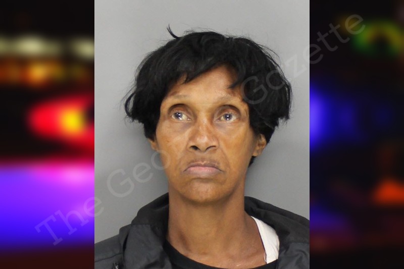 Lisa Hurst — Cobb County Jail Bookings