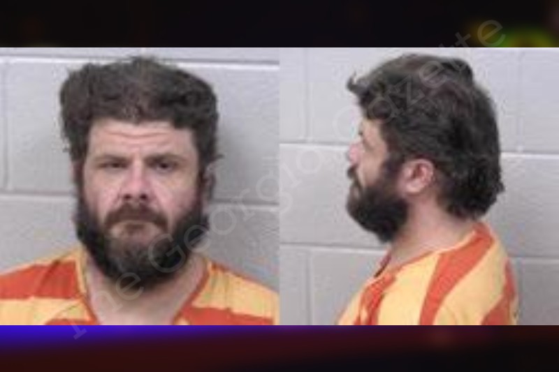 Tony Haws — Paulding County Jail Bookings