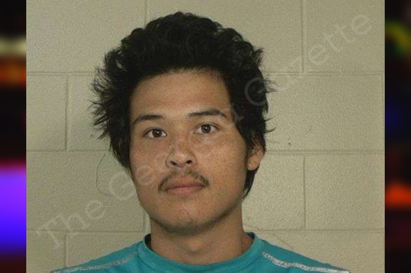 Isaiah Hawthorne — Liberty County Jail Bookings