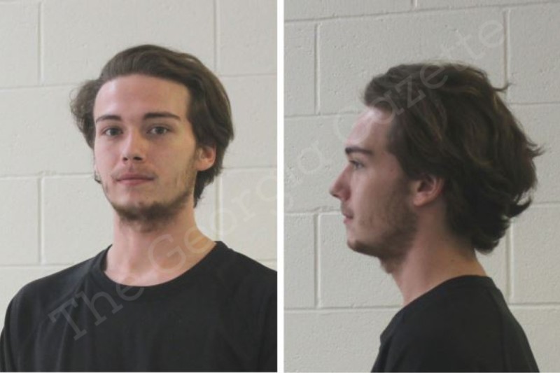 Levi Howard — Houston County Jail Bookings