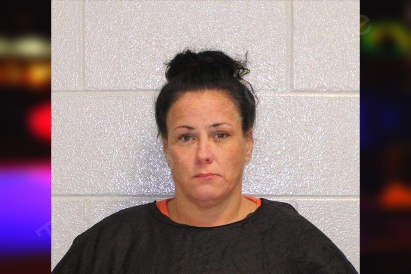 Ashley Johnson — Carroll County Jail Bookings
