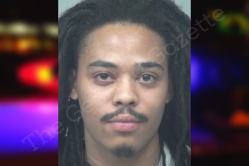 Brian Johnson — Gwinnett County Jail Bookings