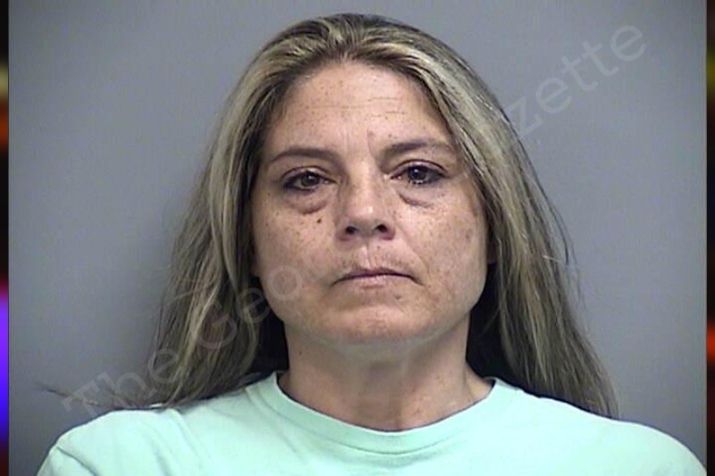 Debby Johnsen — Effingham County Jail Bookings
