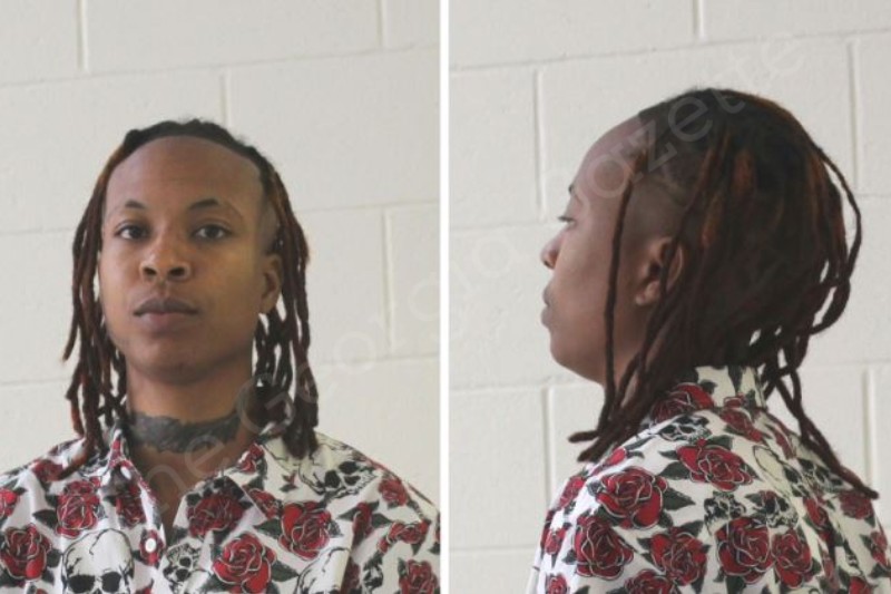 Angela Johnson — Houston County Jail Bookings