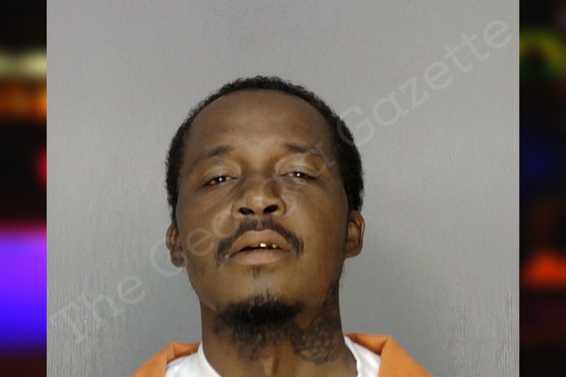 Kennethy Austin - Bibb County