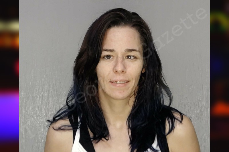 Krystal Wilson — Bibb County Jail Bookings