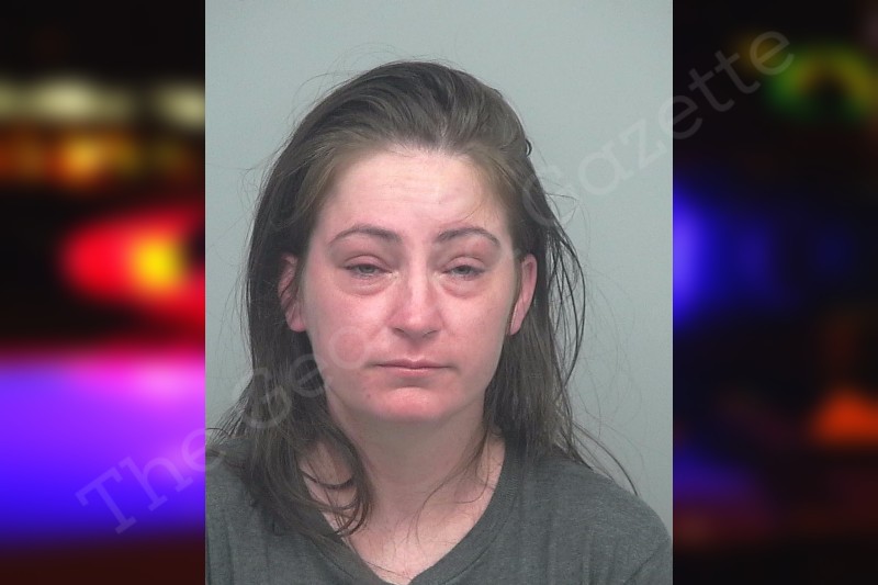 Stephanie Leach — Gwinnett County Jail Bookings