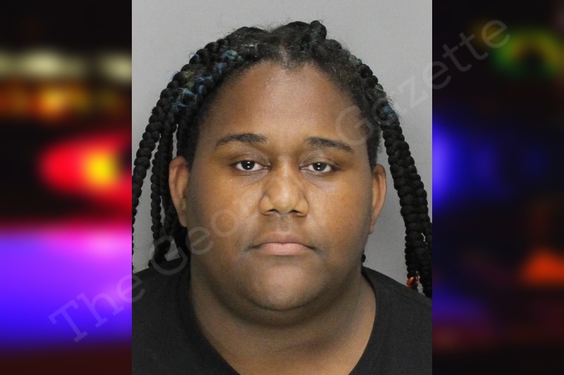 Arlene Lewis — Cobb County Jail Bookings