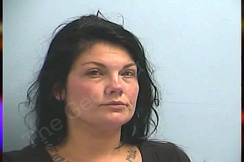 Morgan Lamb — Dawson County Jail Bookings