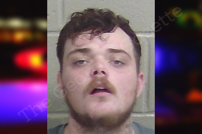 Matthew Laroche — Wayne County Jail Bookings