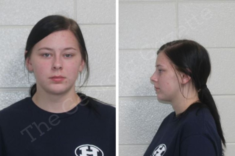 Valorie Liggett — Houston County Jail Bookings