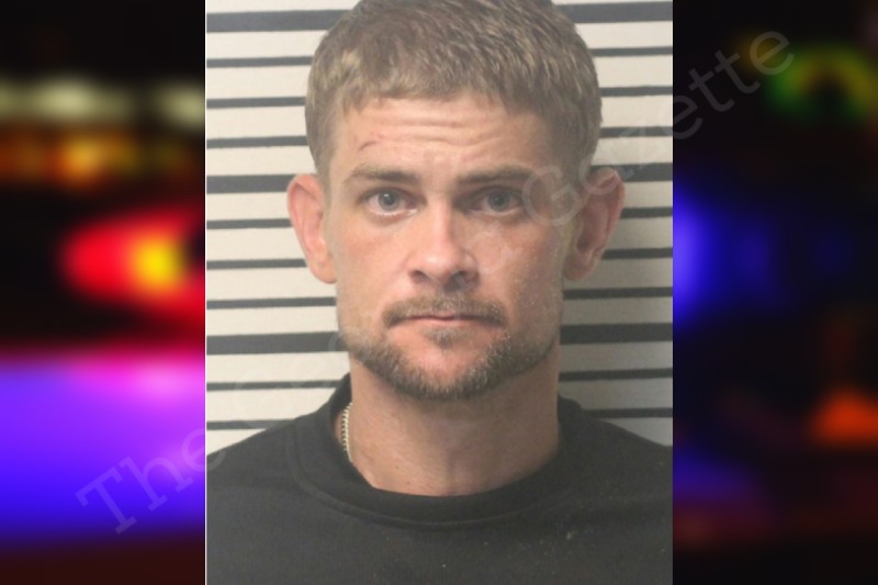Westley McGowan — Toombs County Jail Bookings