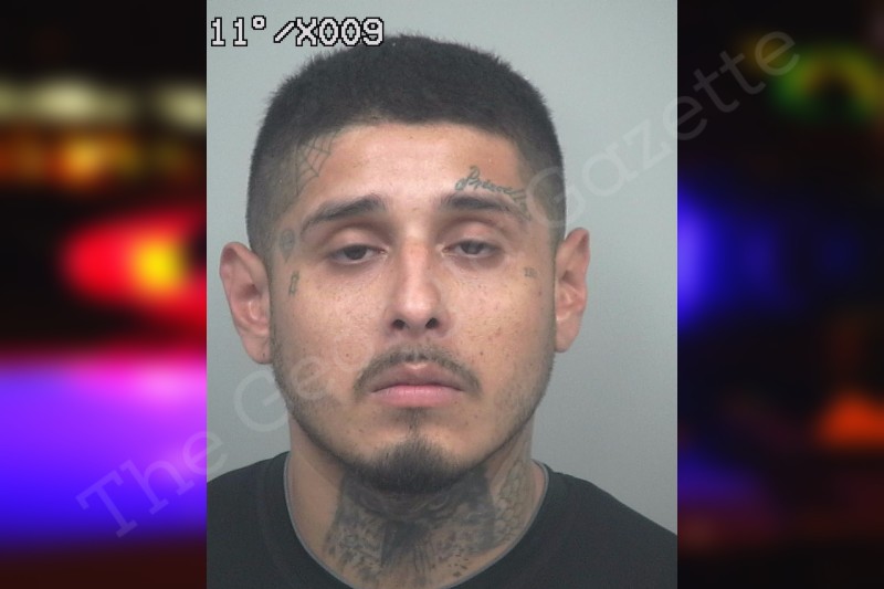 Michael Medina — Gwinnett County Jail Bookings