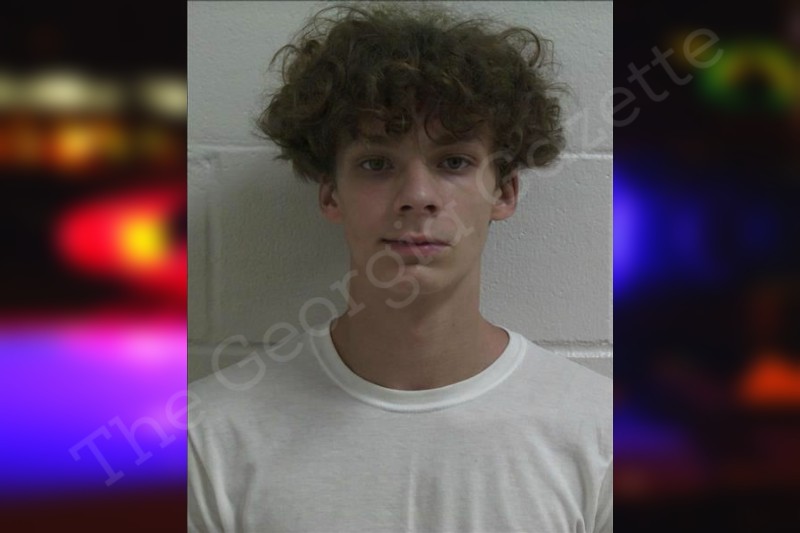 Jacob Mills — Decatur County Jail Bookings