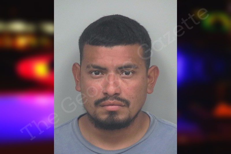 Wilson Molina — Gwinnett County Jail Bookings