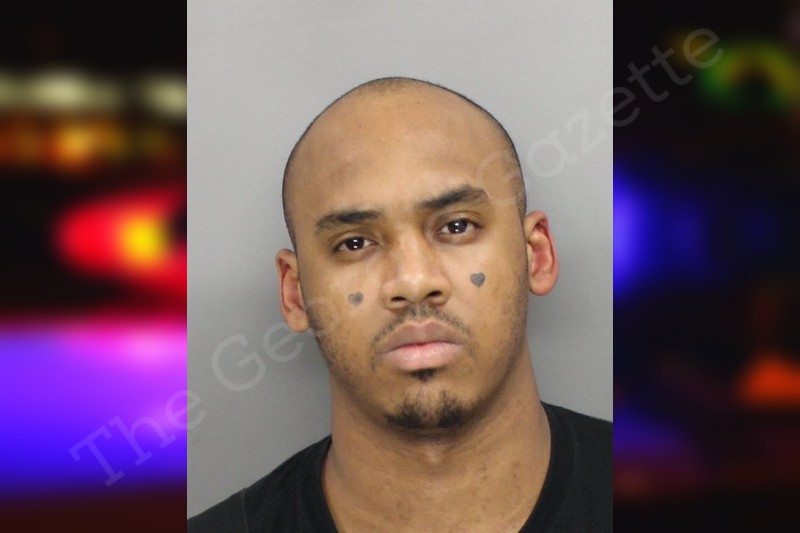 Shaza Morrison — Cobb County Jail Bookings