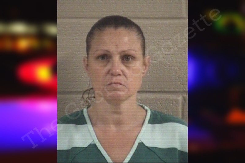 Melissa Johnson — Whitfield County Jail Bookings