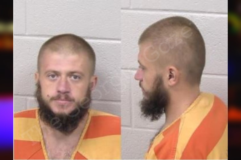 Bilbyl Metaliaj — Paulding County Jail Bookings