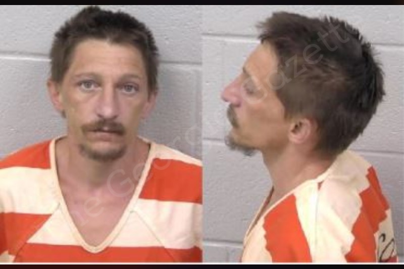 Timothy Miller — Paulding County Jail Bookings