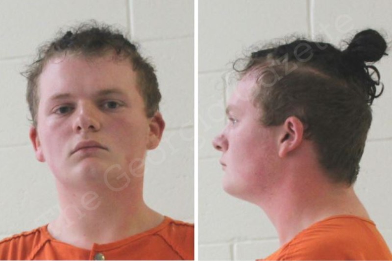 Logan Moss — Houston County Jail Bookings
