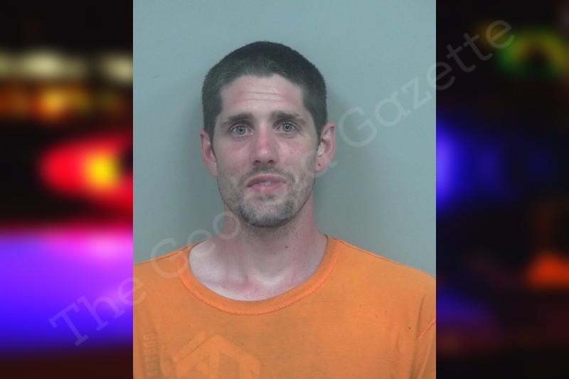 Ryan Page — Gwinnett County Jail Bookings