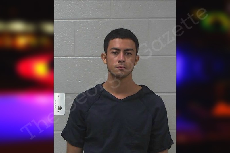 Brandon Pantoja — Gilmer County Jail Bookings