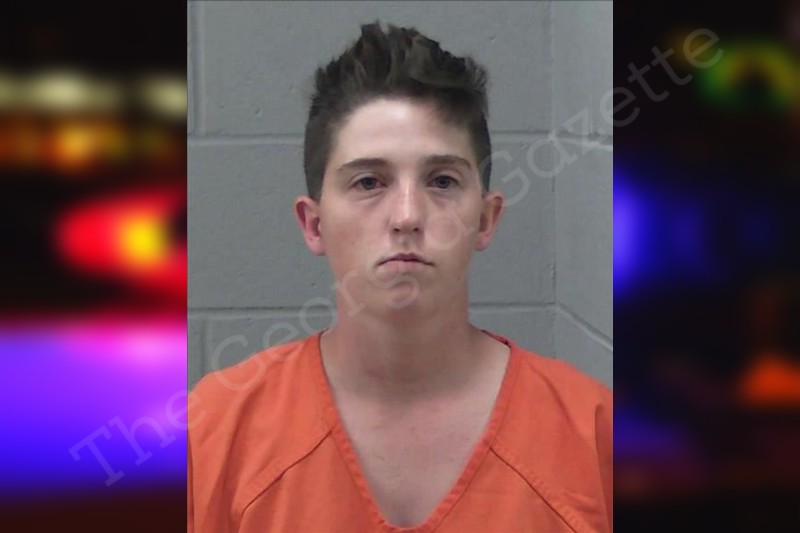 Ashley Parr — Madison County Jail Bookings