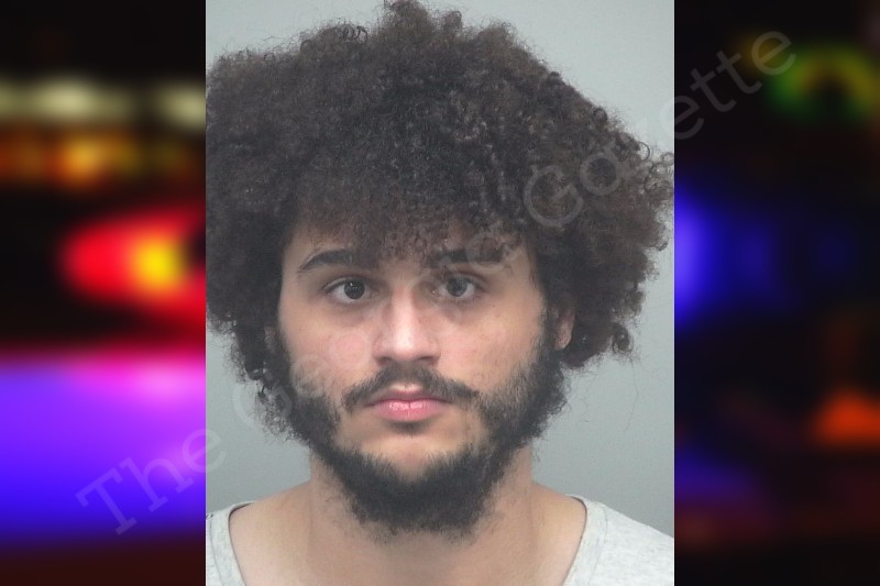 Joshua Peterson — Gwinnett County Jail Bookings