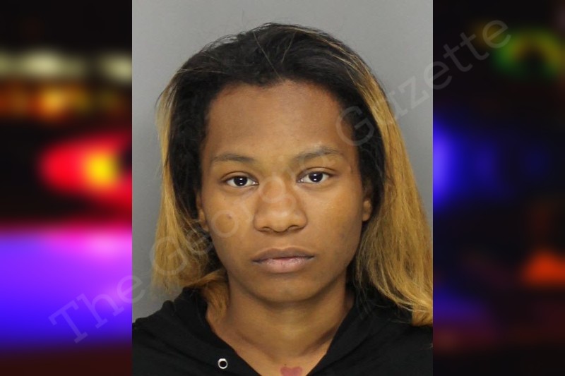 Kayla Phillips — Cobb County Jail Bookings