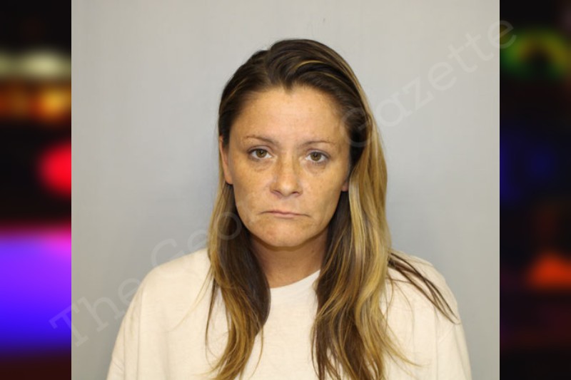 Jessica Pippin — Hall County Jail Bookings