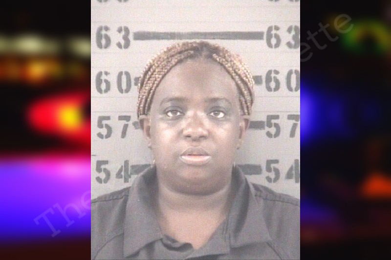Brenda Palmer — Dougherty County Jail Bookings