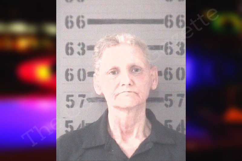 Wendy Palmer — Dougherty County Jail Bookings