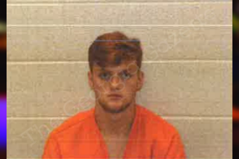 Patrick Peeler — Pickens County Jail Bookings