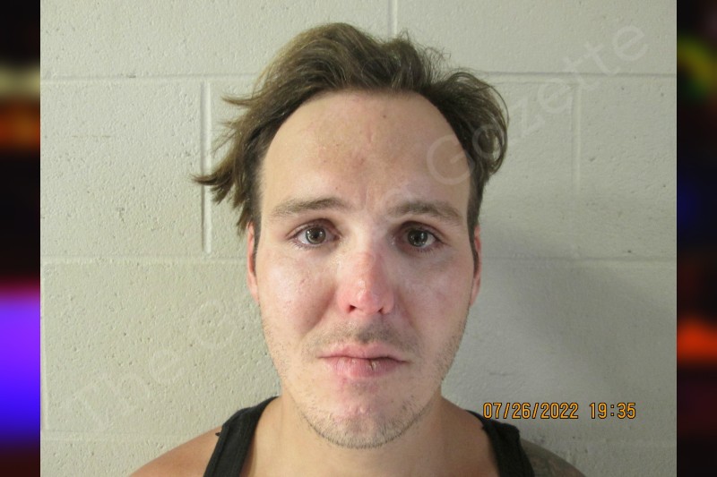 Kenneth Peters — Towns County Jail Bookings