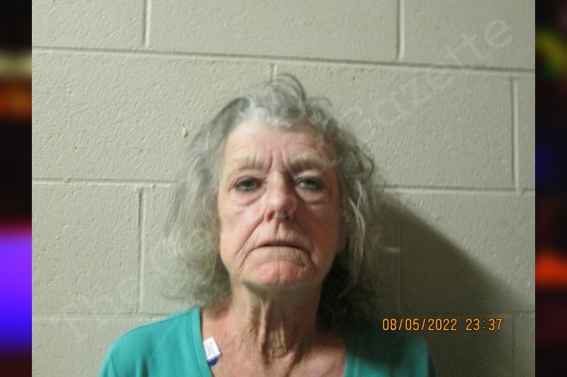 Susan Plummer — Towns County Jail Bookings