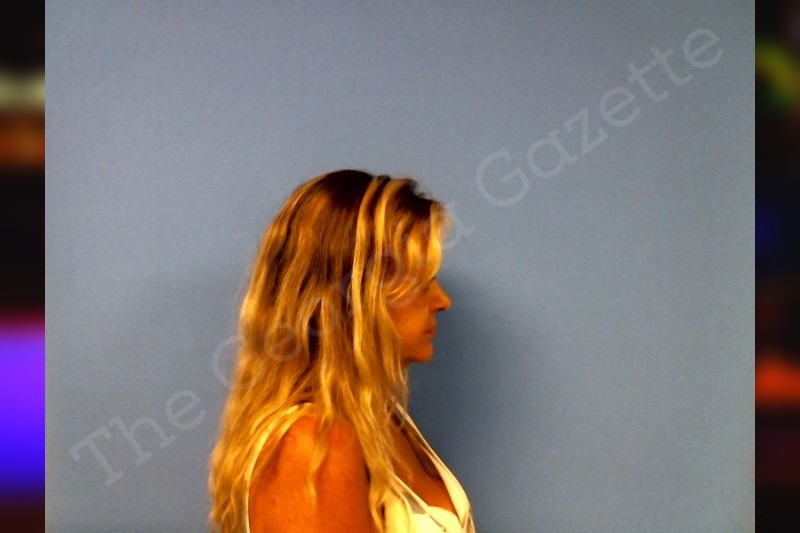 Nicole Potter — Troup County Jail Bookings